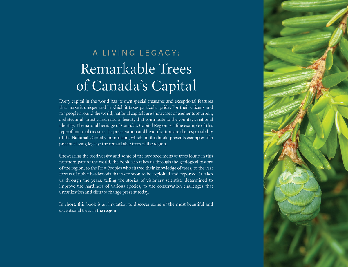 A Living Legacy: Remarkable Trees of Canada’s Capital (Book) – Canadian ...